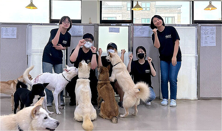 충남창경센터, 유기견 봉사 활동 통해 지역사회와 생명존중 가치 실천